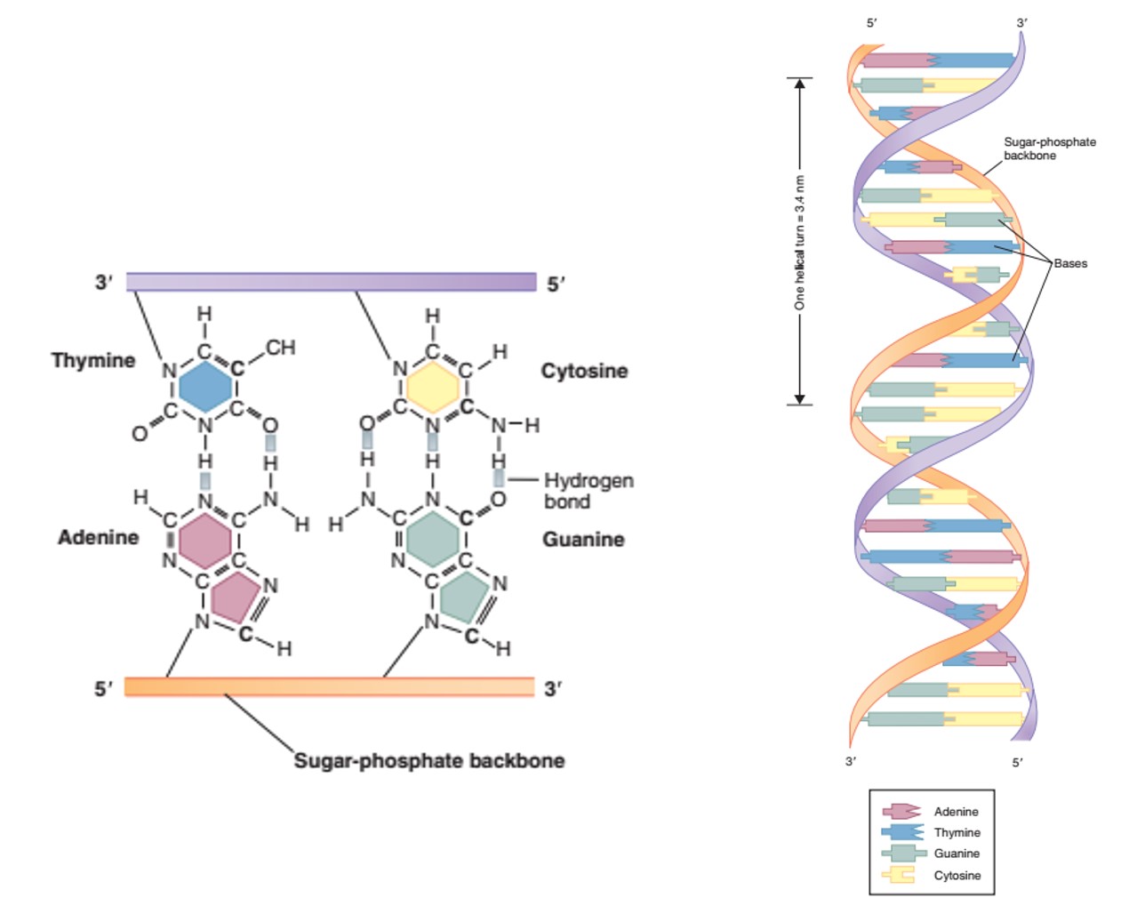 课程门户-章节详情