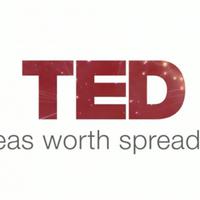 TED系列——什么是爱？
