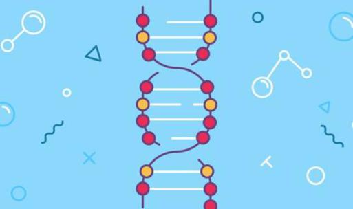 遗传育种学实验