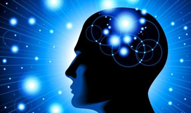 普通心理学 (FH) 2023-2024(1)