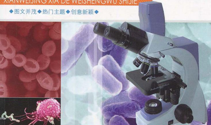 全屏显示 专题 章节