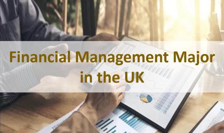 Financial Management Major in the UK