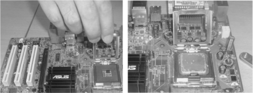 全屏显示 专题 章节