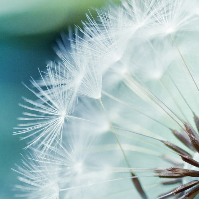 贝多芬 - A大调第3号大提琴奏鸣曲 op.69