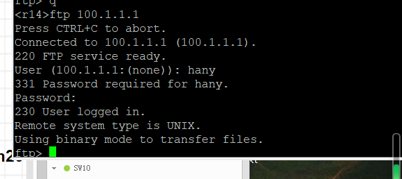 H3CNE综合小实验