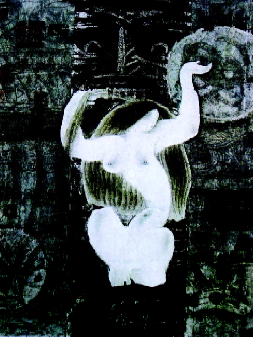 全屏显示 专题 章节