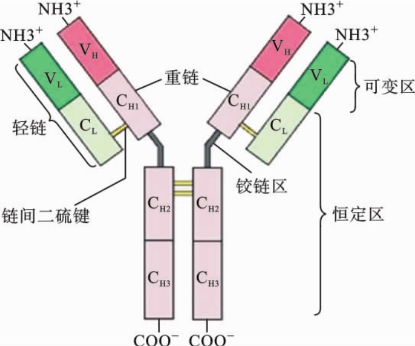 全屏显示 专题 章节