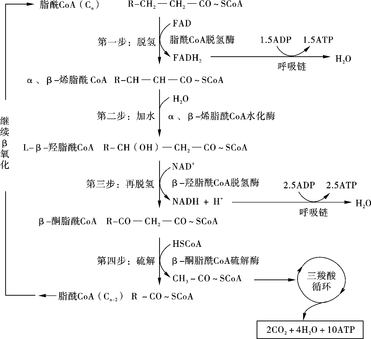 课程门户-章节详情