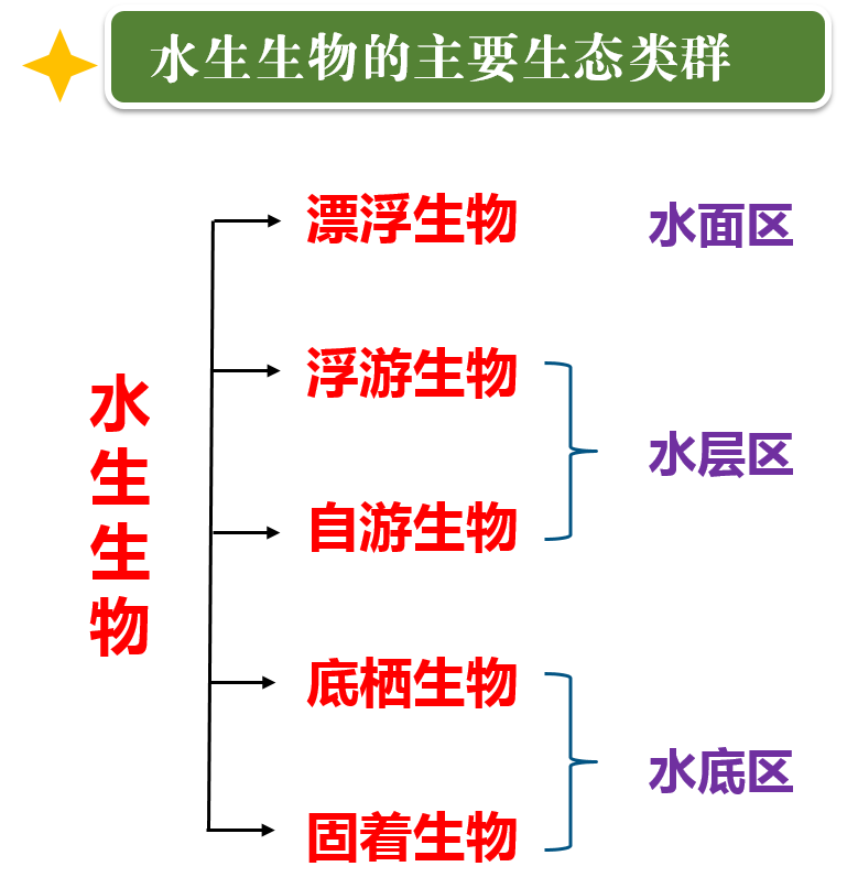 课程门户-章节详情