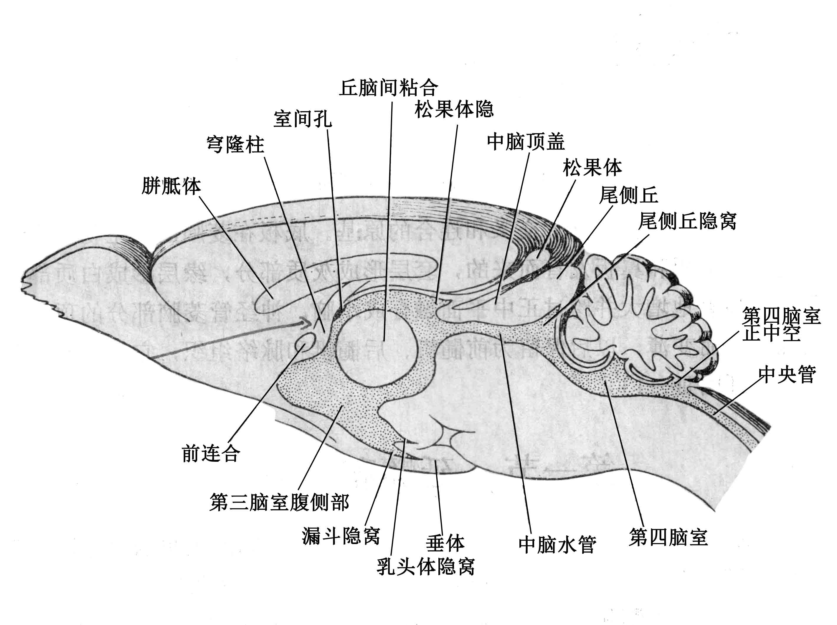 课程门户-章节详情