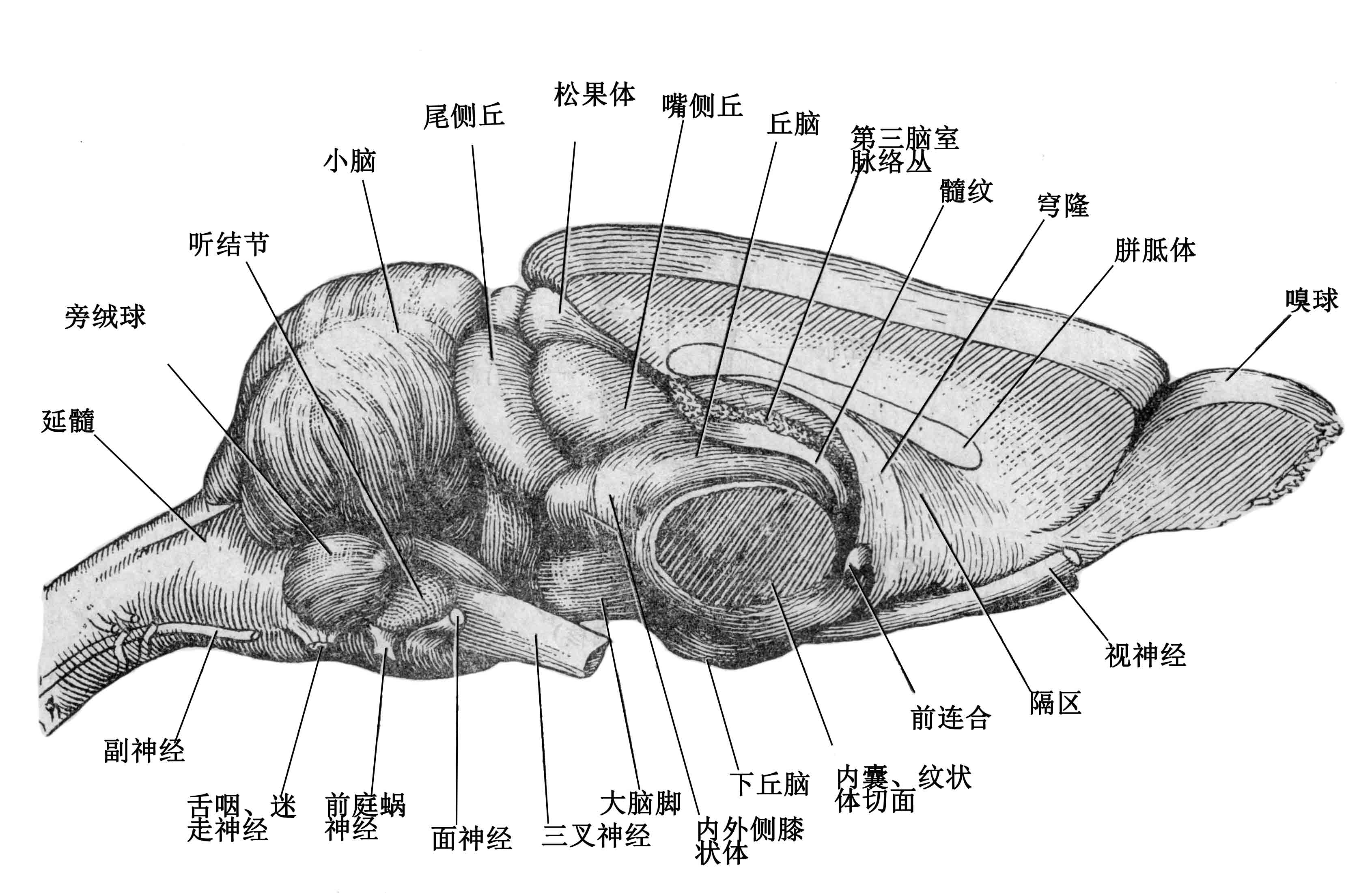 课程门户-章节详情