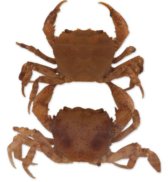 课程门户-章节详情