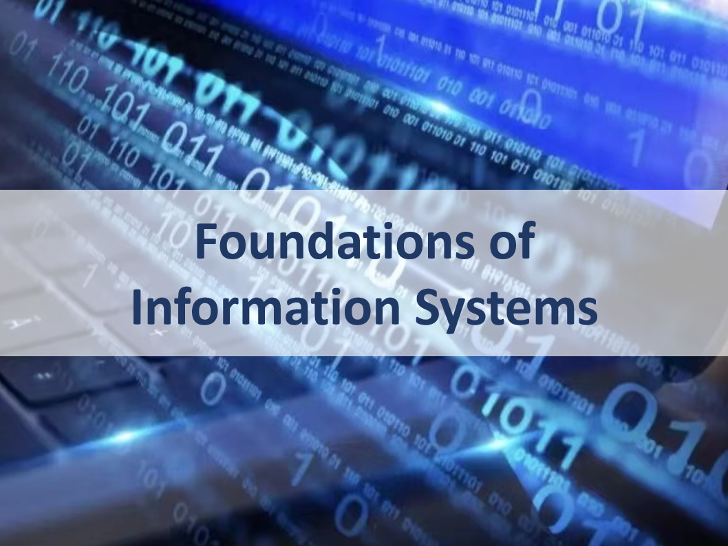 Foundations of Information Systems（信息系统基础）