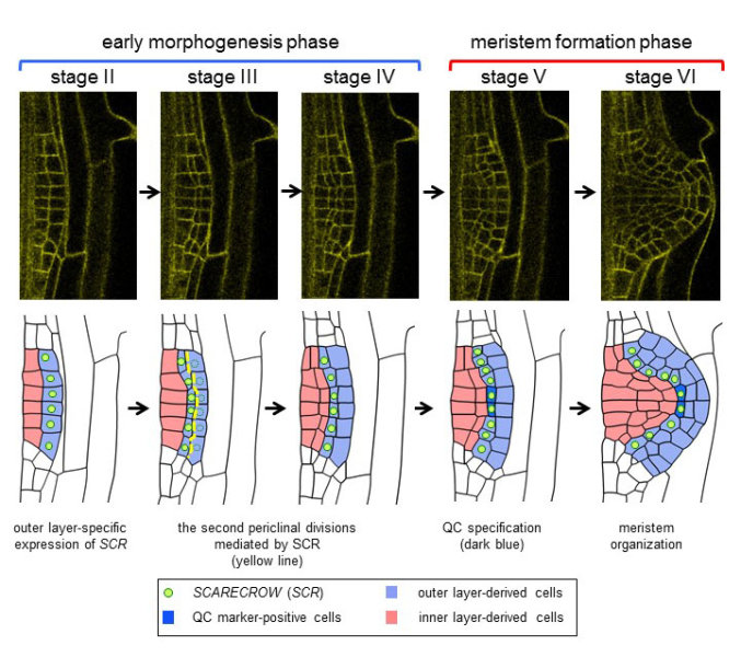 课程门户-章节详情