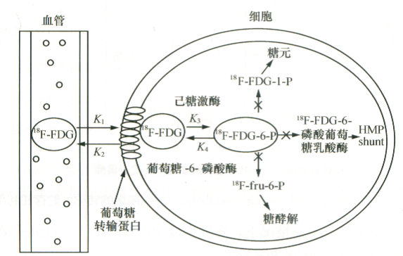课程门户-章节详情