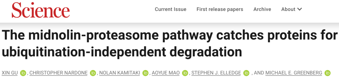 课程门户-章节详情