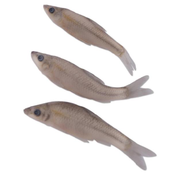 课程门户-章节详情